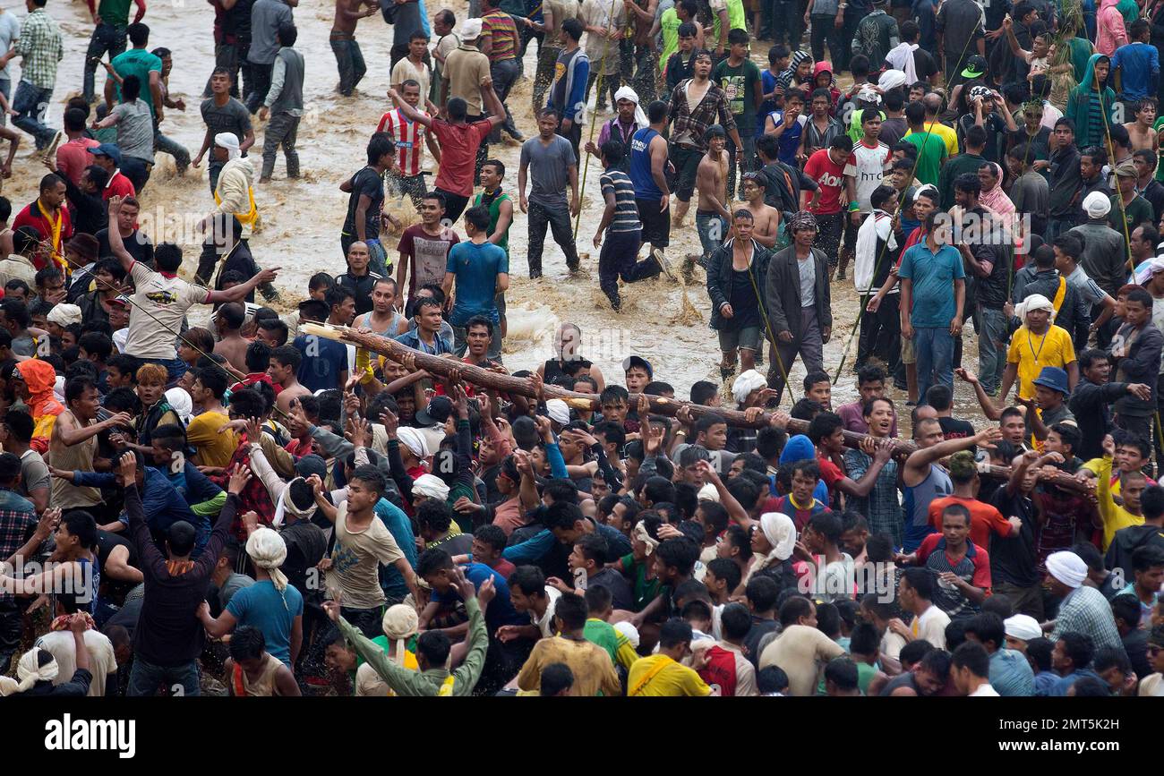 Indian Pnar or Jaintia tribesmen carry a sacred tree during ...