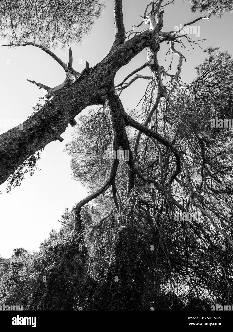 Newdoor hi-res stock photography and images - Alamy