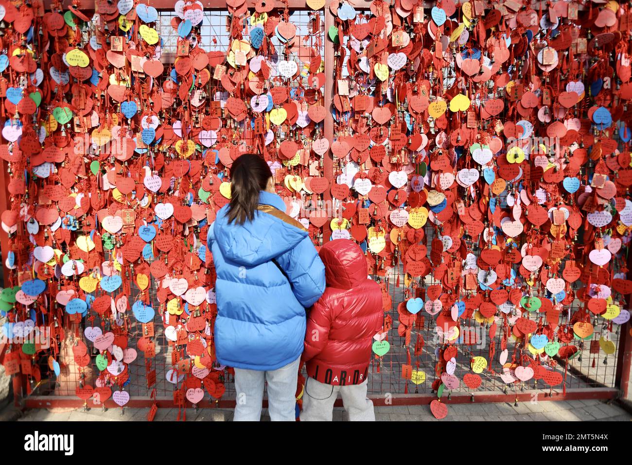 A wishing wall covered with various wishing cards attracts people in a ...