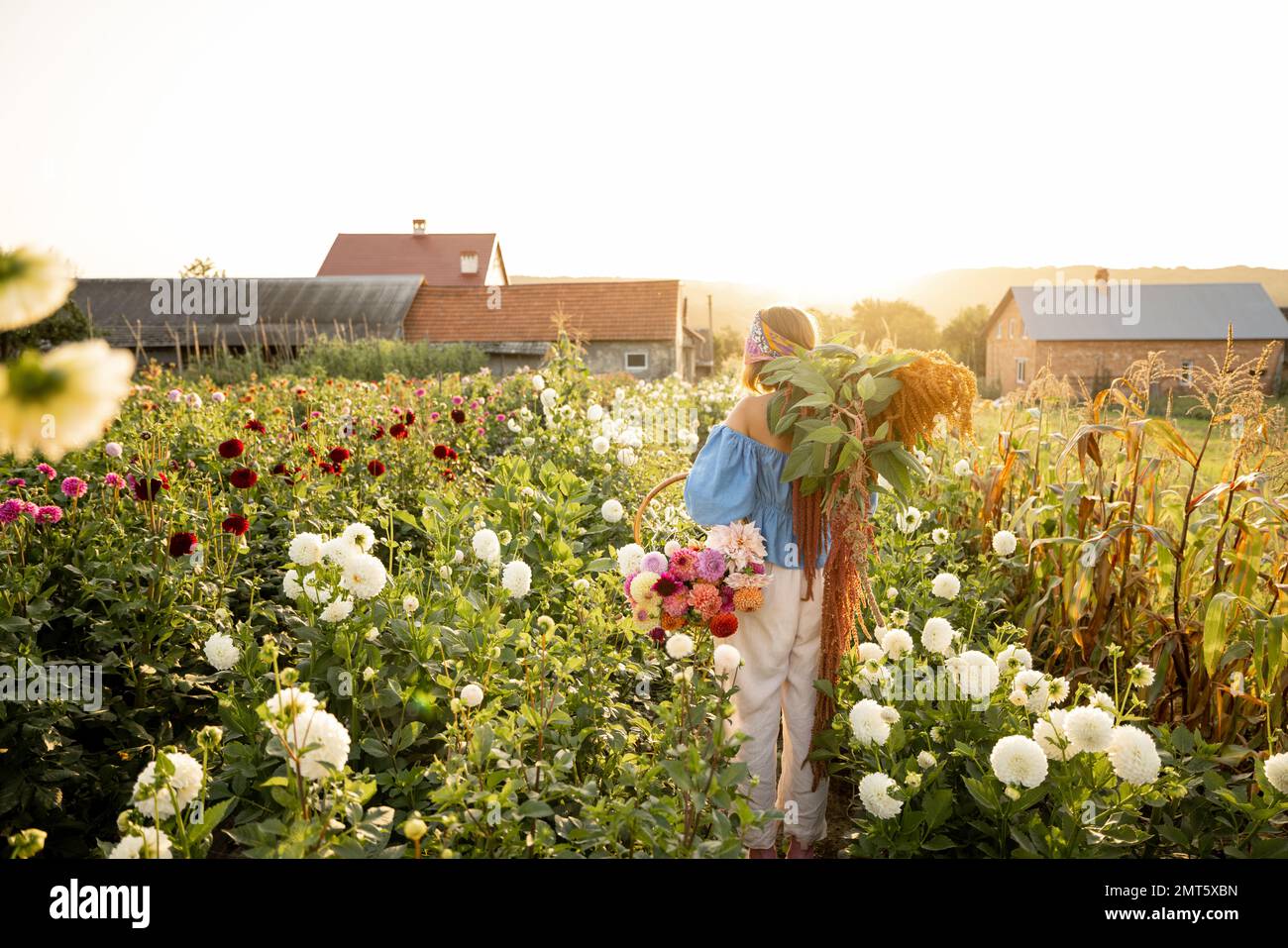 Carry lots of flowers hi-res stock photography and images - Alamy