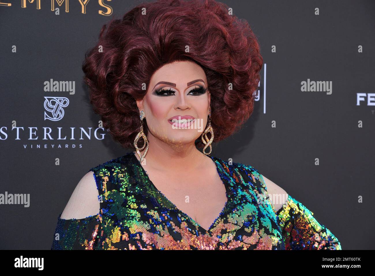 Delta Work arrives at the 69th Los Angeles Area Emmy Awards at the ...