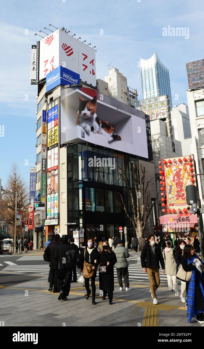 Pedestrians crossing the street under the 3D cat billboard in Shinjuku ...