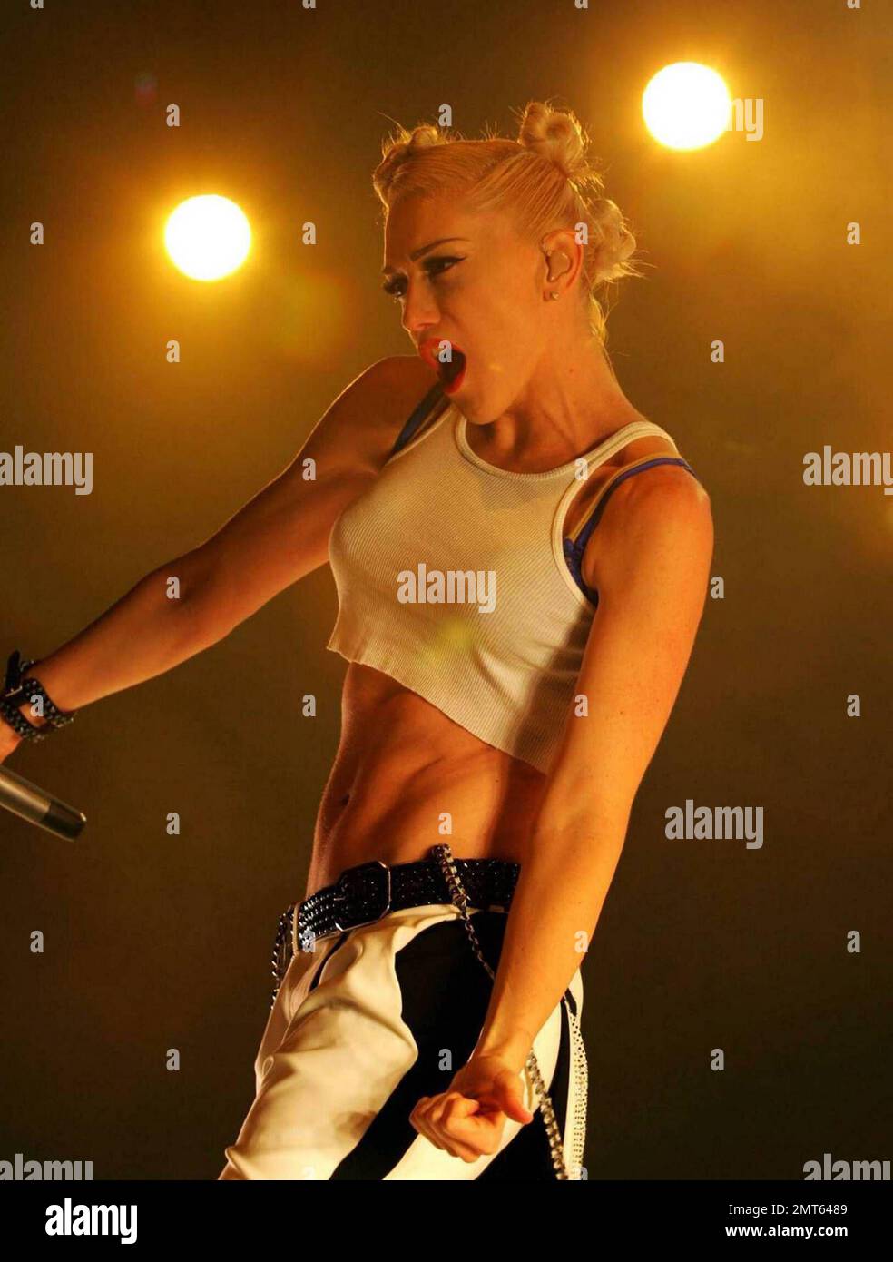 No Doubt wows the crowd, performing live in concert at the Air Canada ...