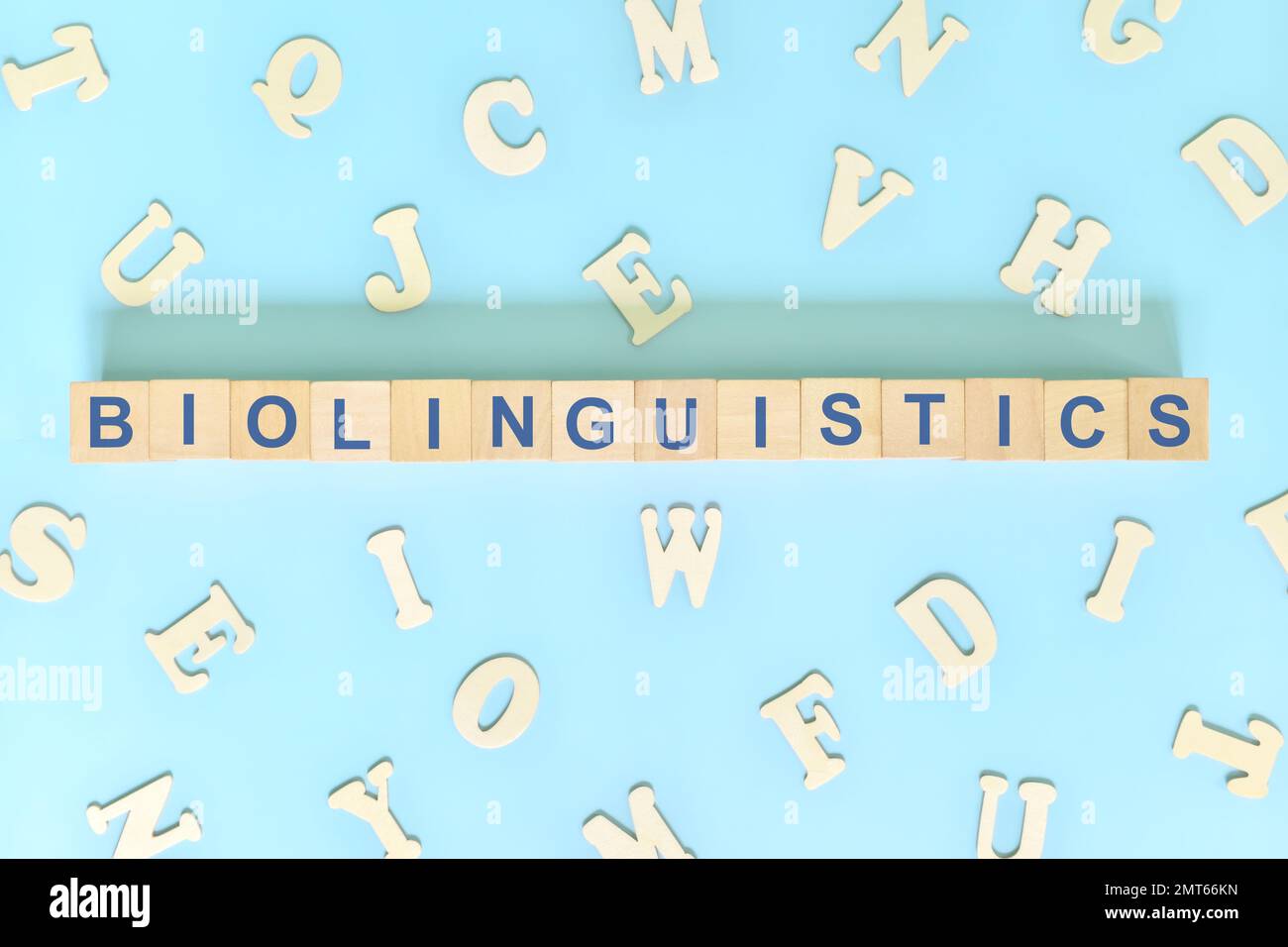 Study biolinguistics in linguistics concept. Wooden blocks word ...