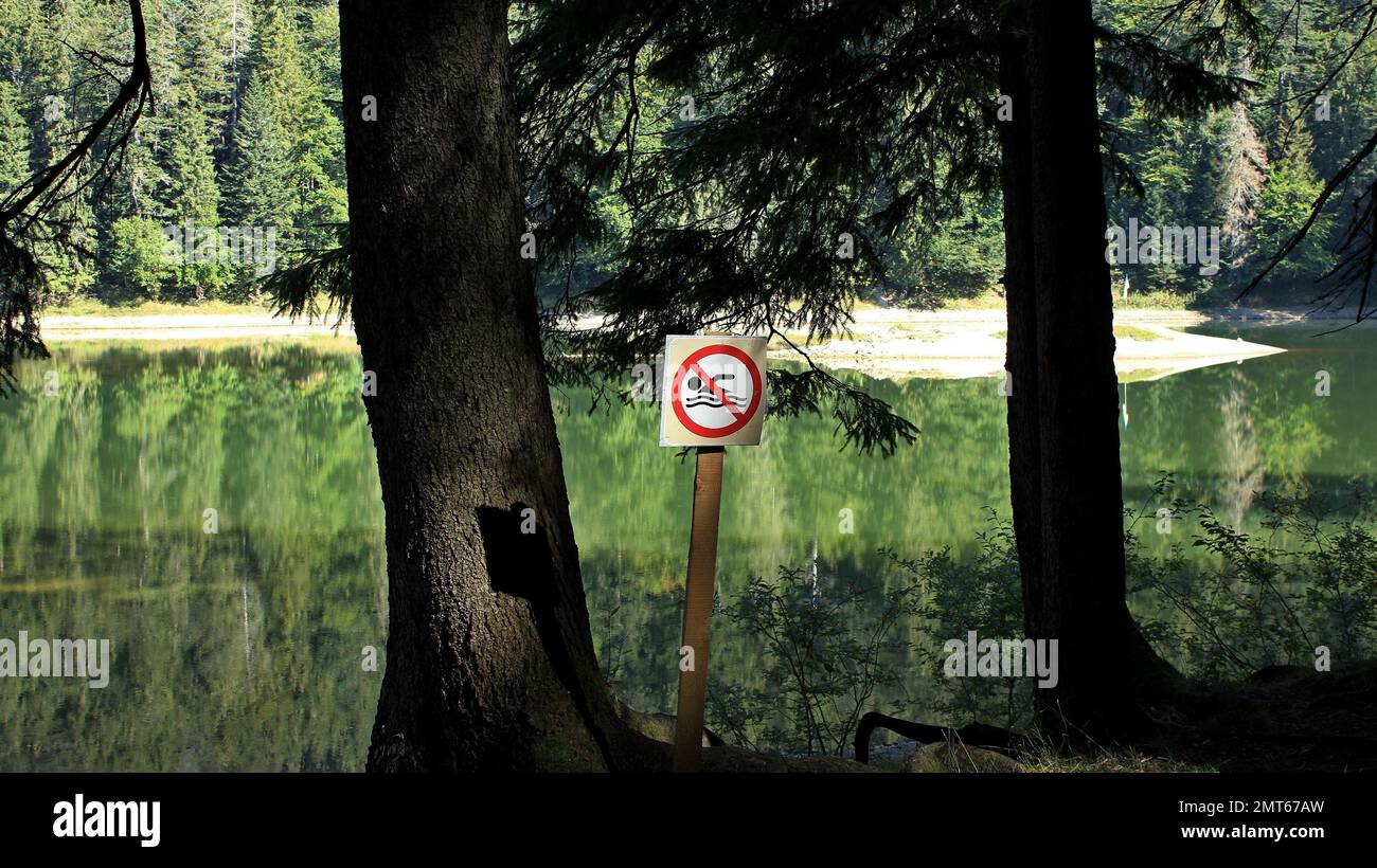 Swimming prohibited plate on a wooden peg near a forest pond Stock ...