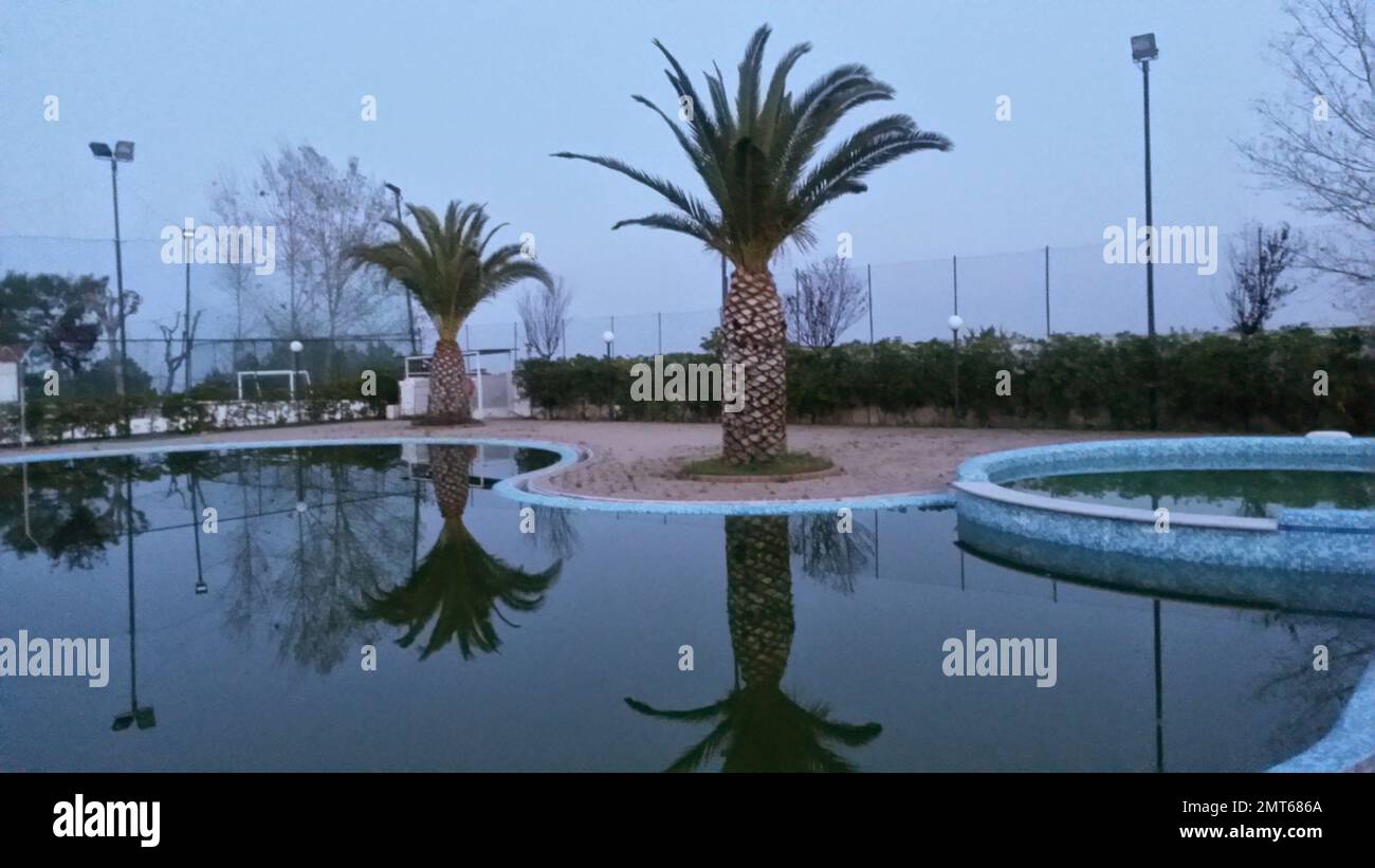 Starry sky palm trees hi-res stock photography and images - Alamy