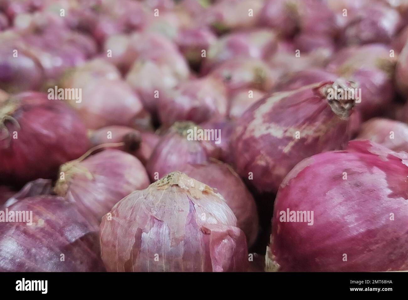 Selective focus image of onions in supermarket Stock Photo - Alamy