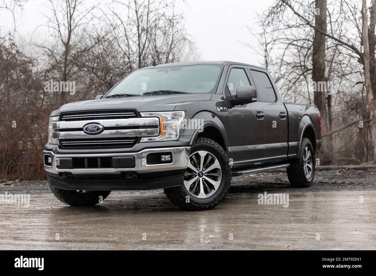 A 2019 Ford F-150 pickup truck on a wet dirt road with leafless trees ...
