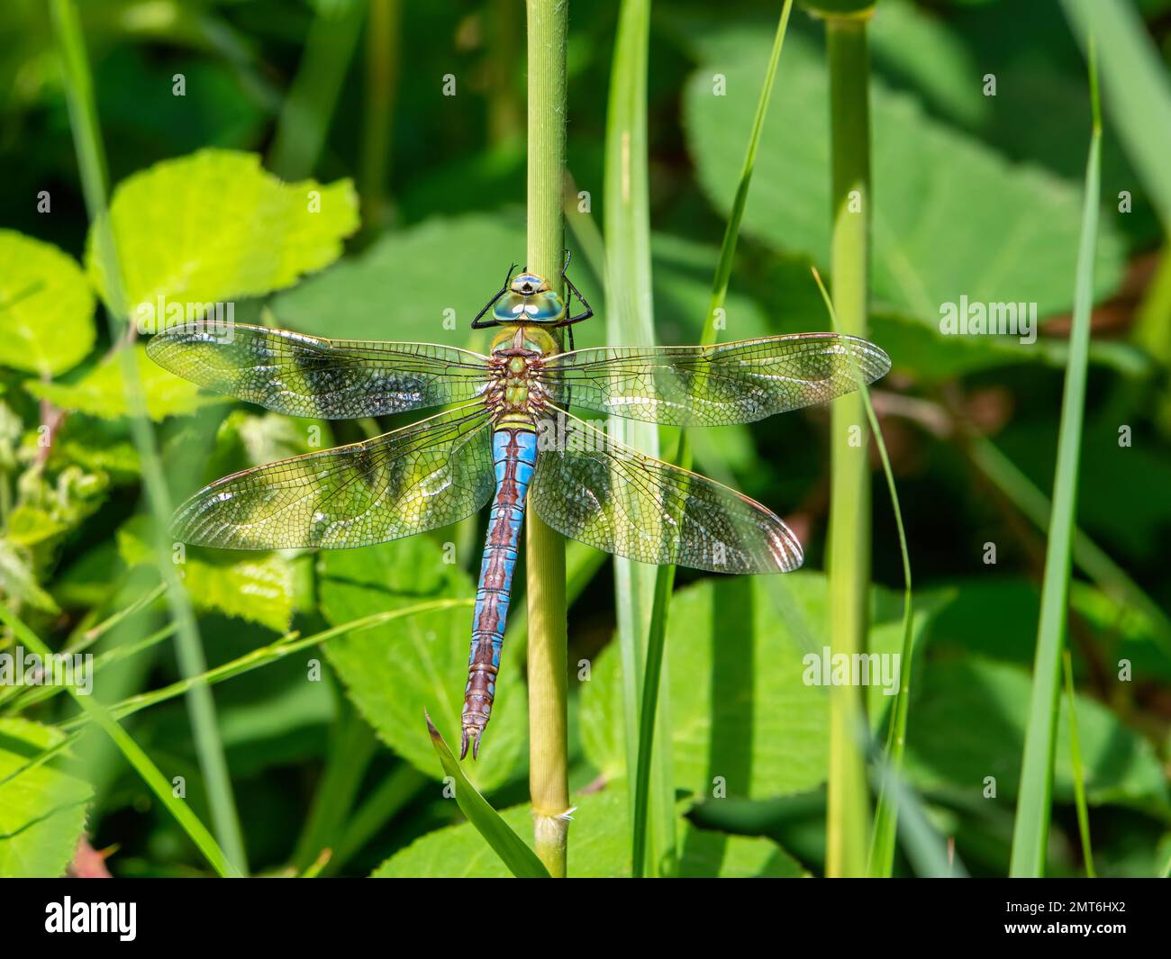Magical calm hi-res stock photography and images - Alamy