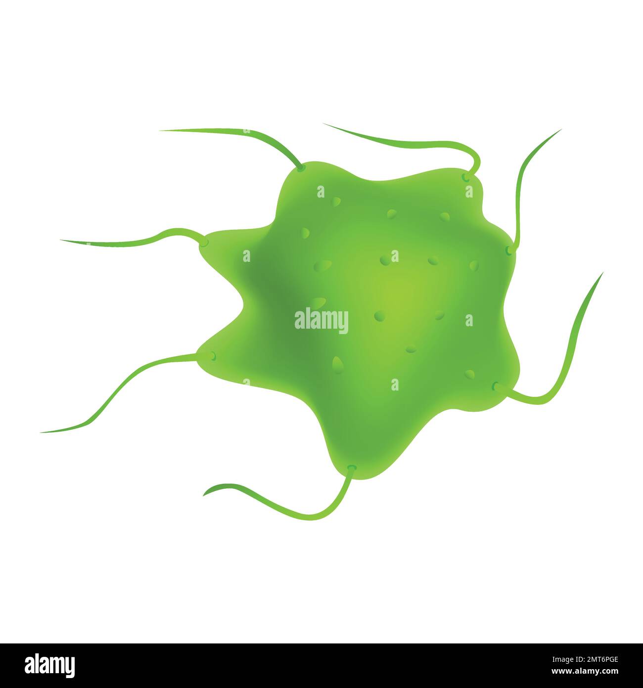 Viruses, germs and bacteria, microorganism types. Illness or disease ...