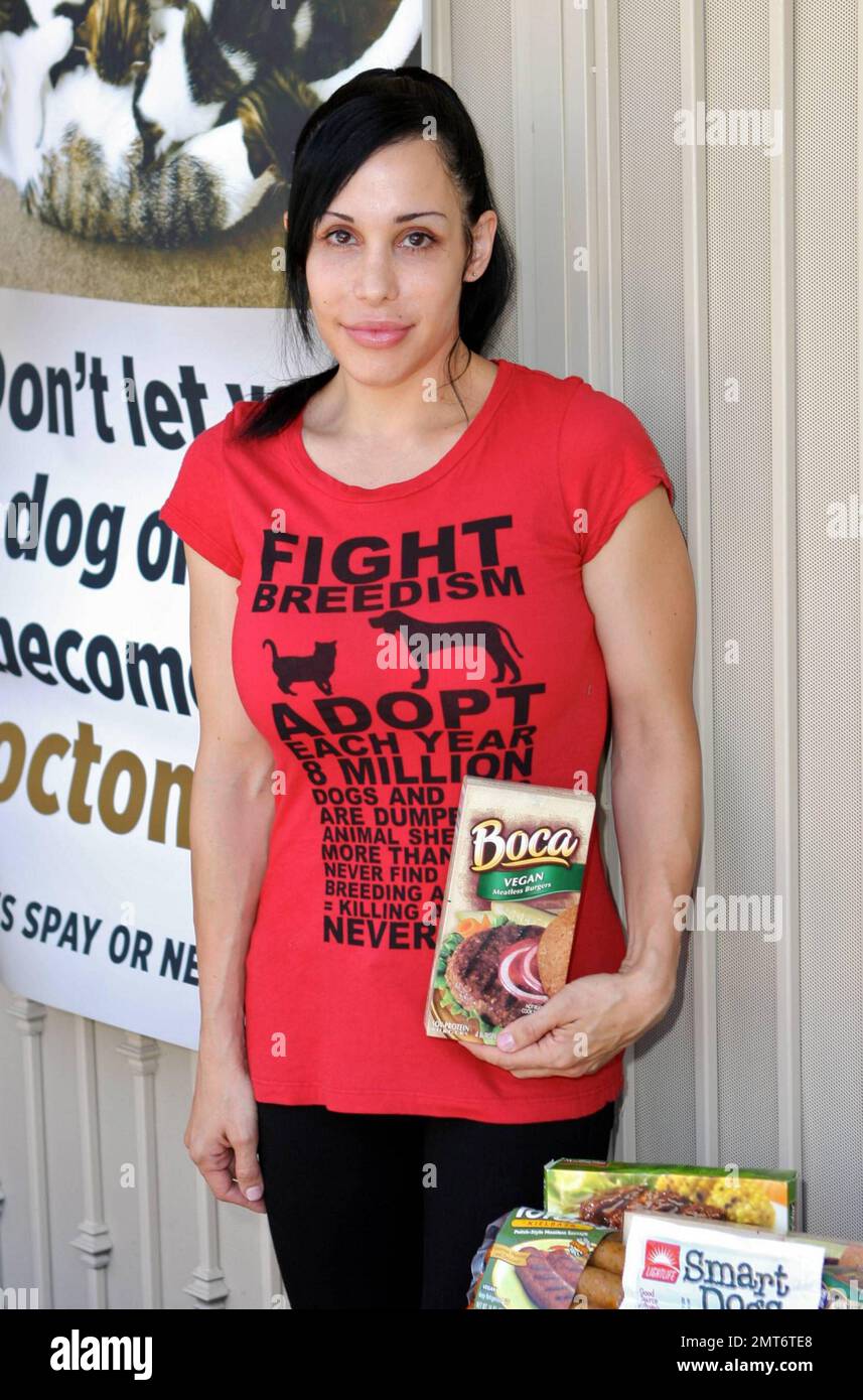 Octomom Nadya Suleman unveils new PETA campaign Stock Photo - Alamy