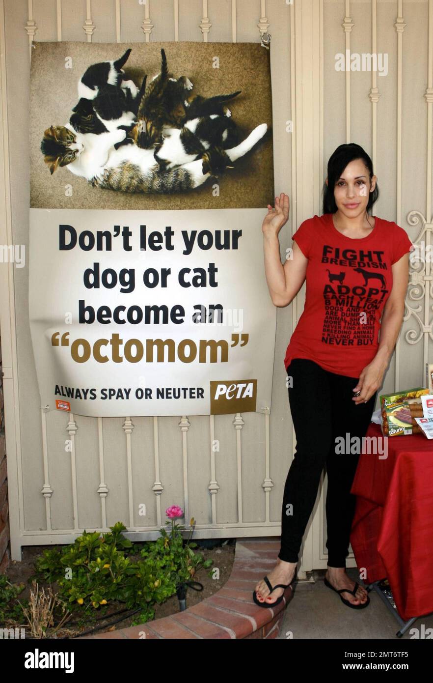 Octomom Nadya Suleman unveils new PETA campaign Stock Photo - Alamy