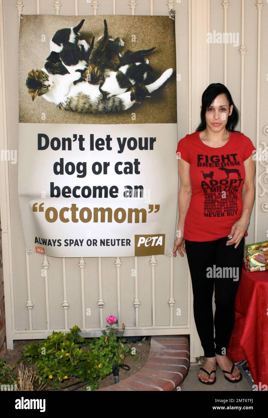Octomom Nadya Suleman unveils new PETA campaign Stock Photo - Alamy