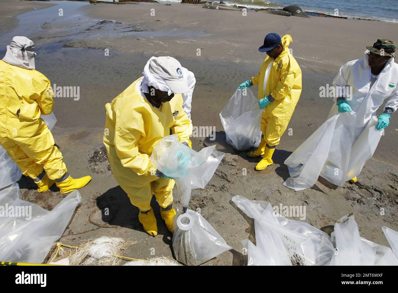 Bp Oil Spill Clean Up Efforts