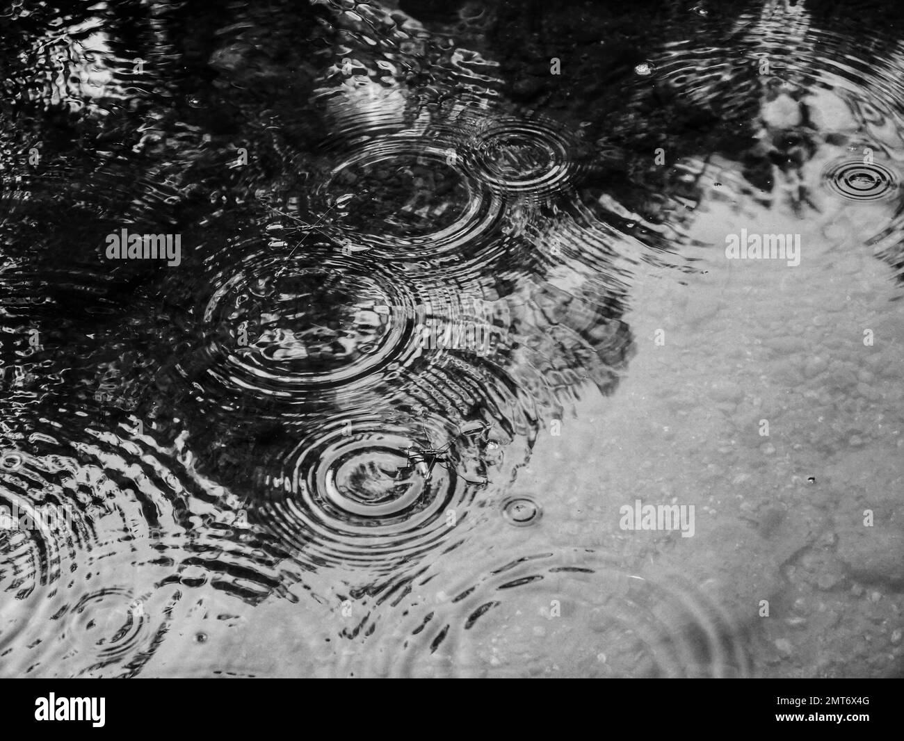 Water droplet falling and splashing Stock Photo - Alamy