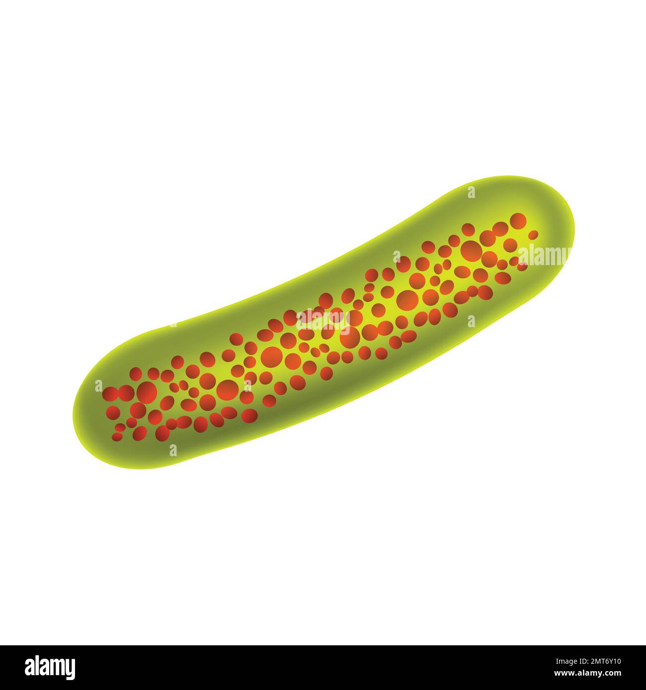 Viruses, germs and bacteria, microorganism types. Illness or disease ...