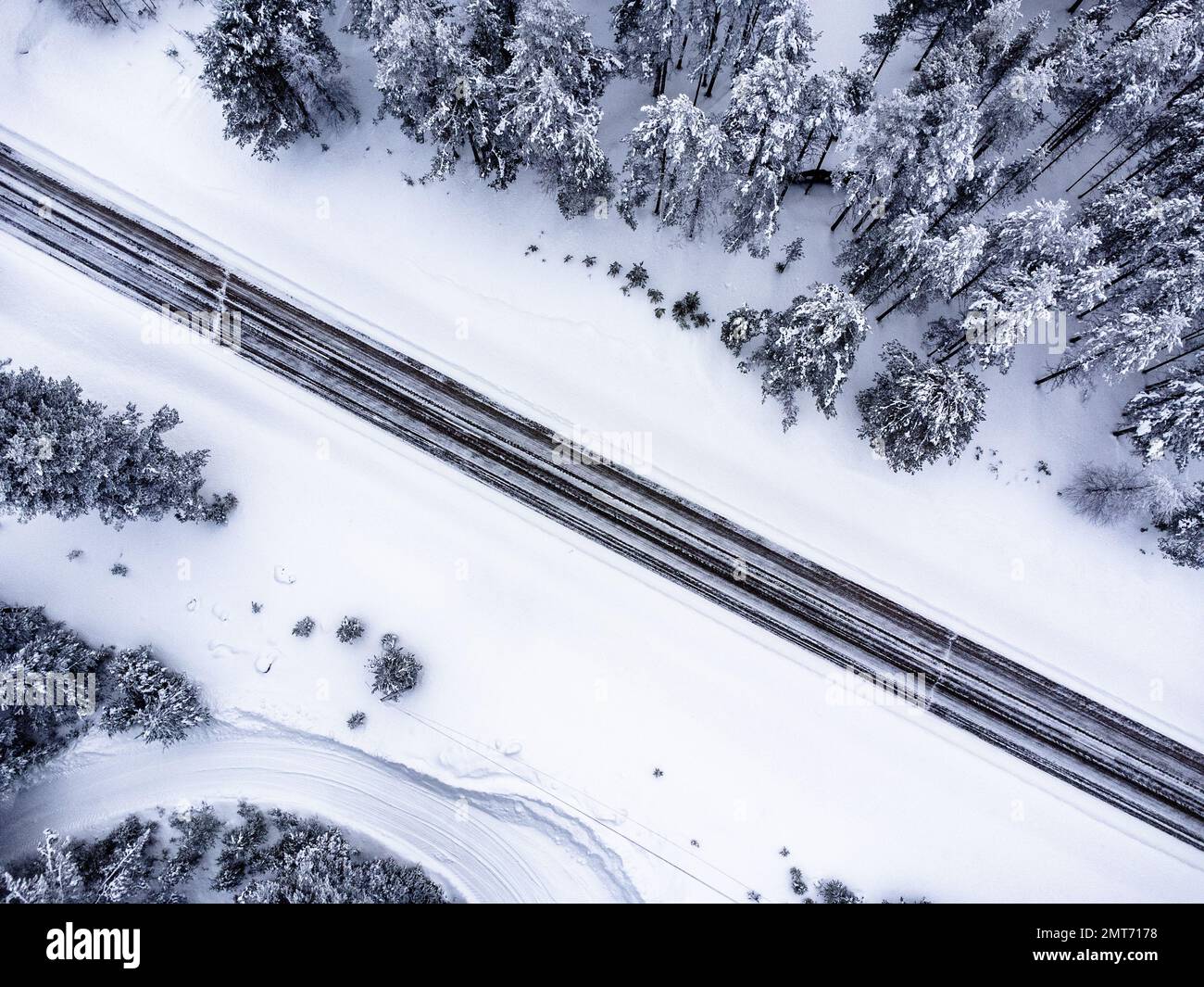 An aerial of snowy in a spruce tree forest and a clear road in the ...