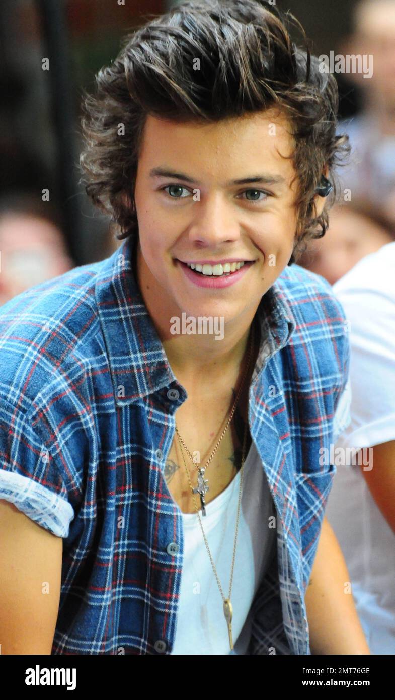 Harry Styles, Niall Horan, Liam Payne, Louis Tomlinson and Zayn Malik ...