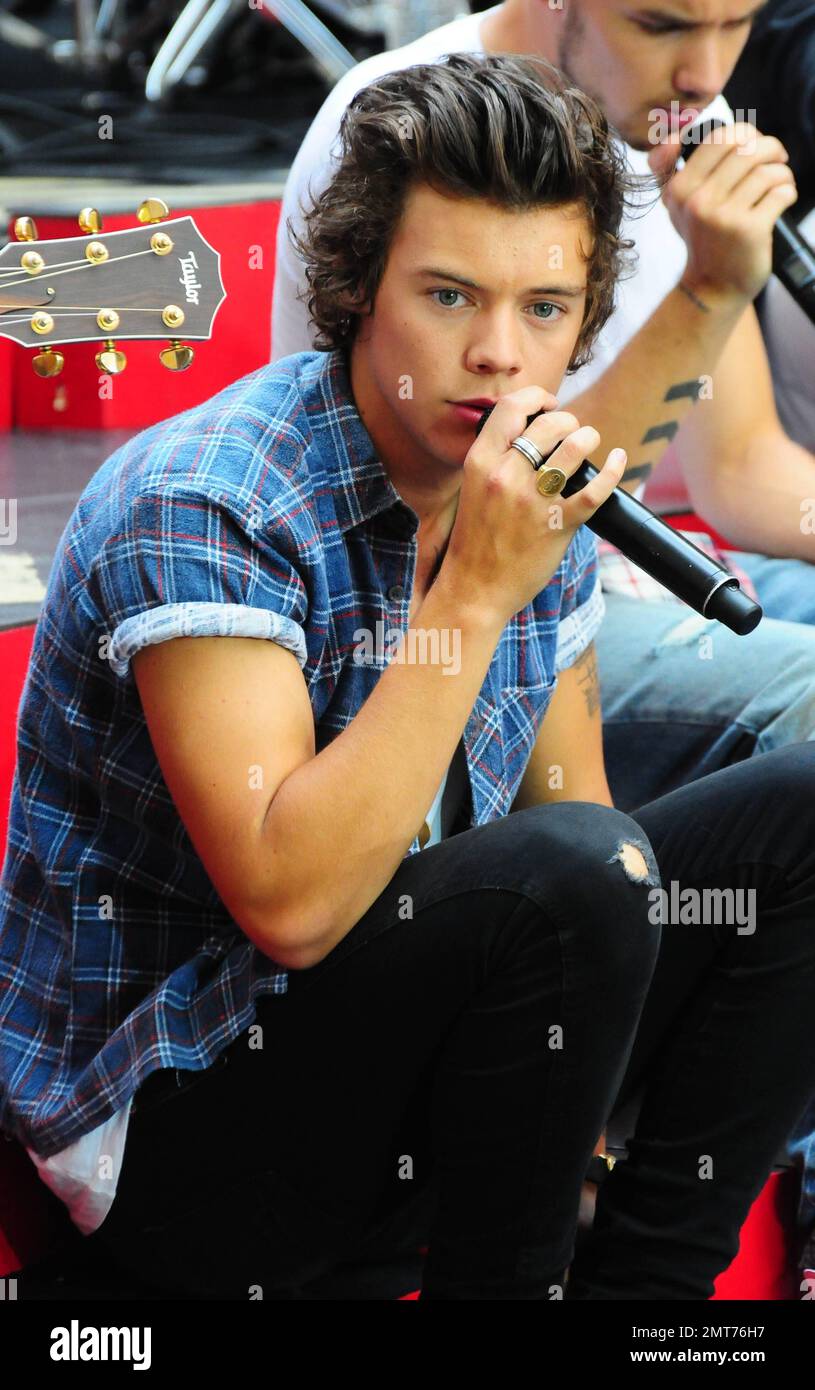 Harry Styles, Niall Horan, Liam Payne, Louis Tomlinson and Zayn Malik ...