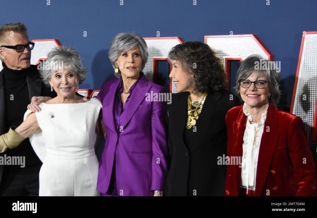 Sally Cobb Actress Sally Ann Shepherd Artist