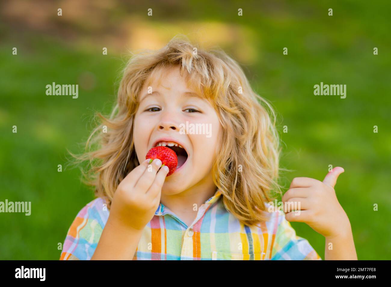 Strawberry fot kids. Happy kid eating ripe, sweet, juicy, fresh ...