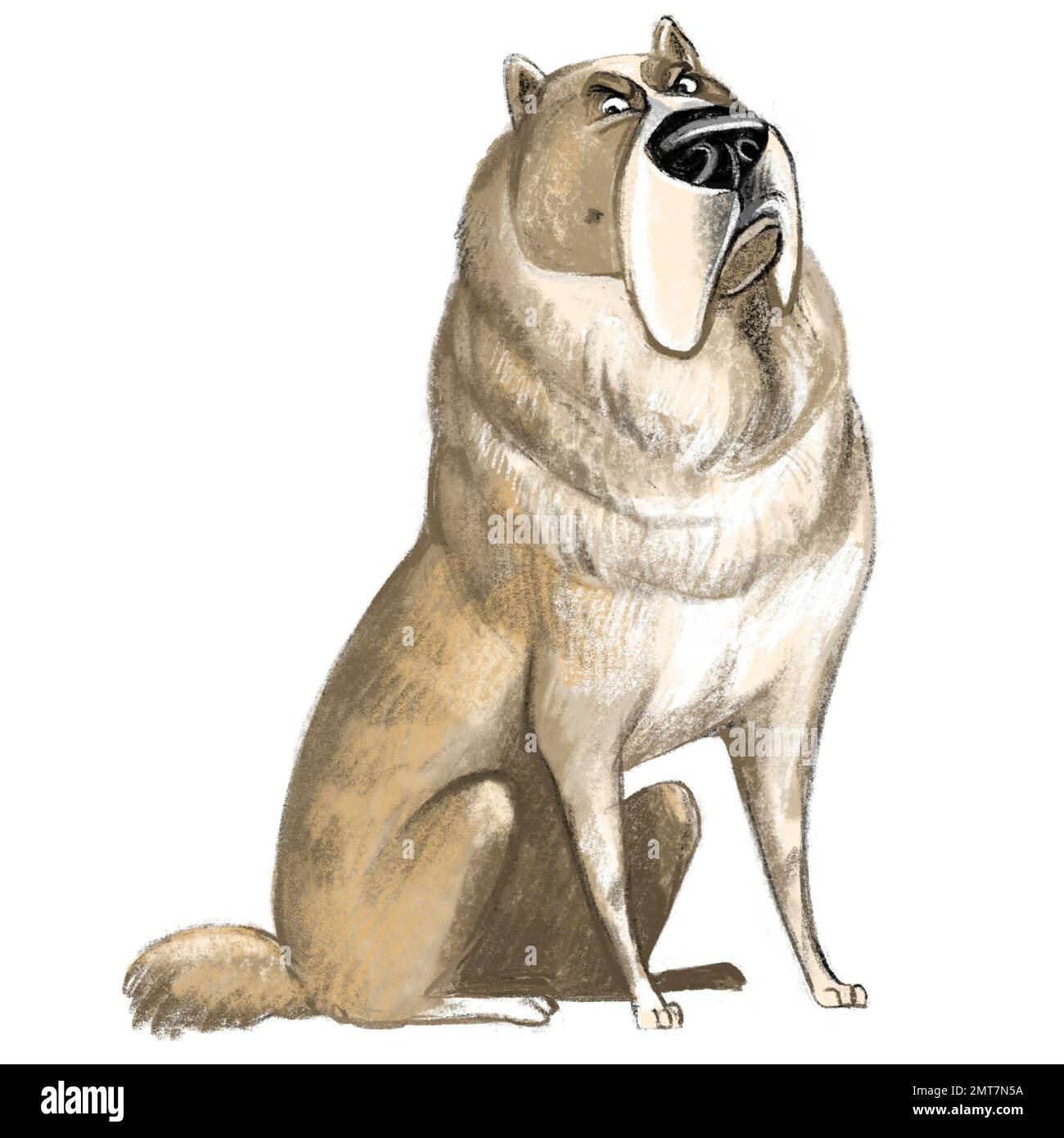 Cute funny cartoon dog character. Central Asian Shepherd dog breed ...