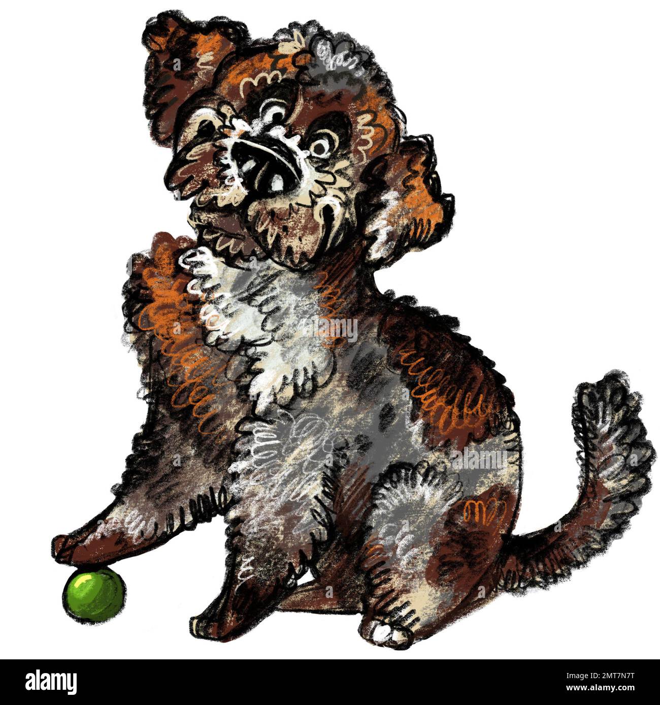 Cute funny cartoon dog character. Lagotto Romagnolo dog breed raster ...