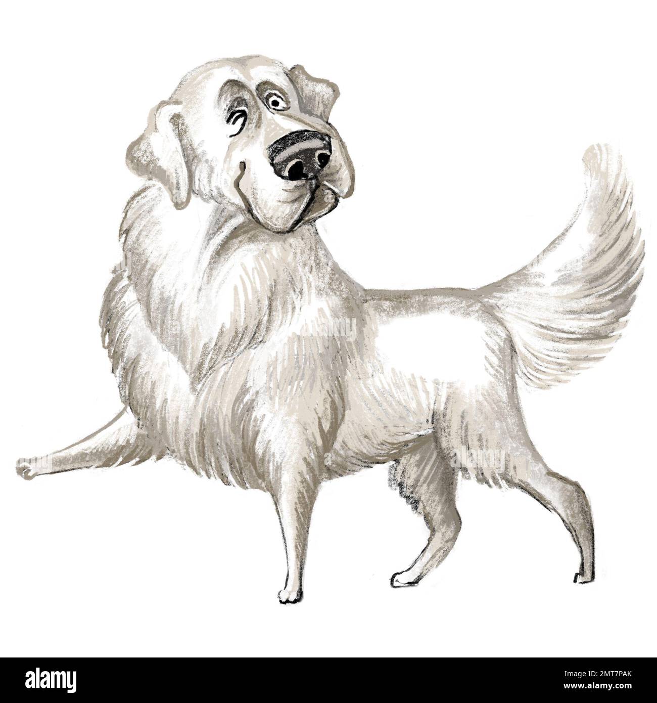 Funny Cartoon Sketches Of Dogs