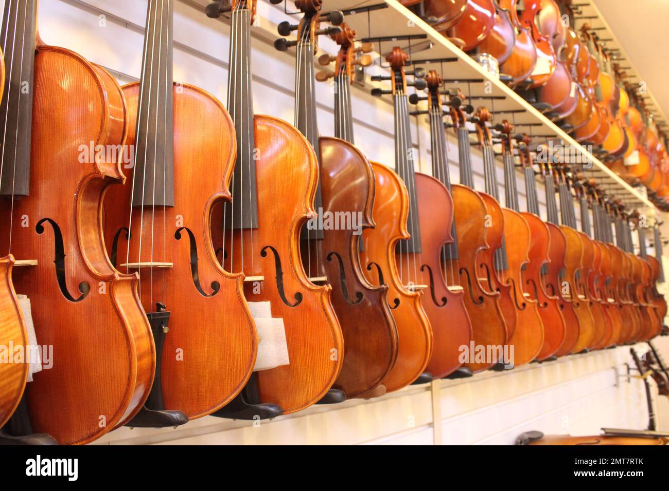 Violins on display in music store Stock Photo - Alamy