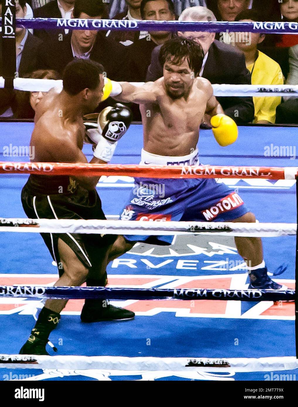 Mgm grand garden arena boxing hi-res stock photography and images - Alamy