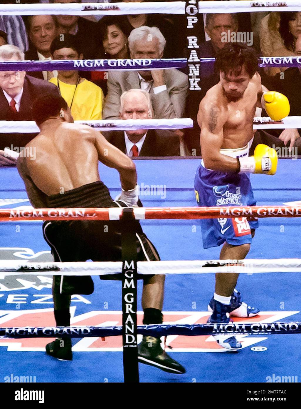 Mgm grand garden arena boxing hi-res stock photography and images - Alamy