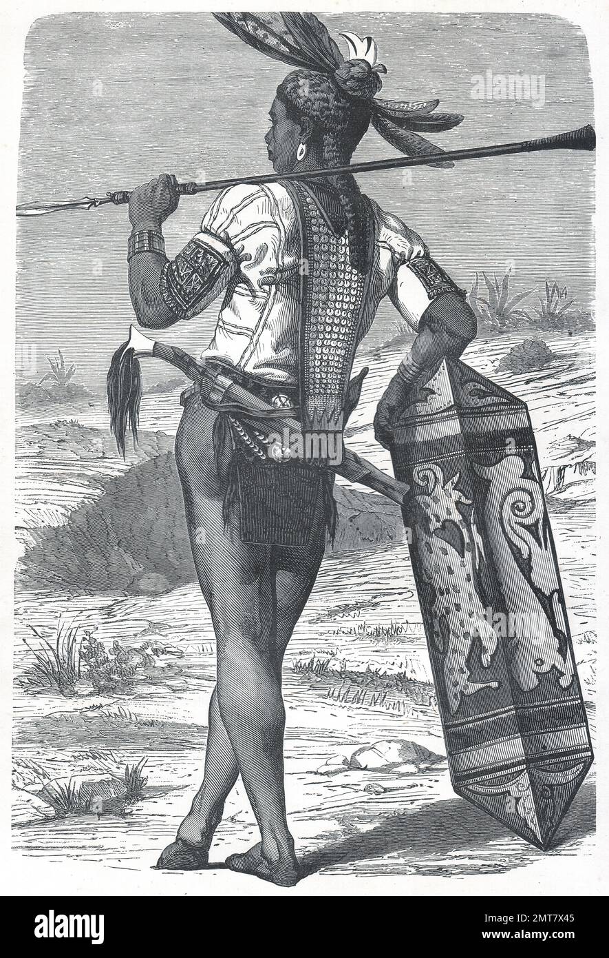 Shield warrior hi-res stock photography and images - Alamy