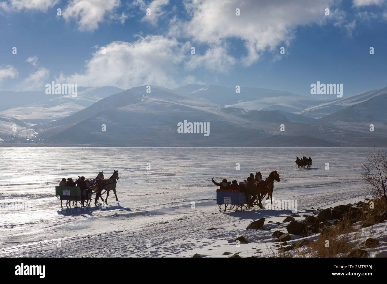 Sleigh pulled by a horse in lake frozen Cildir. Traditional Turkish ...
