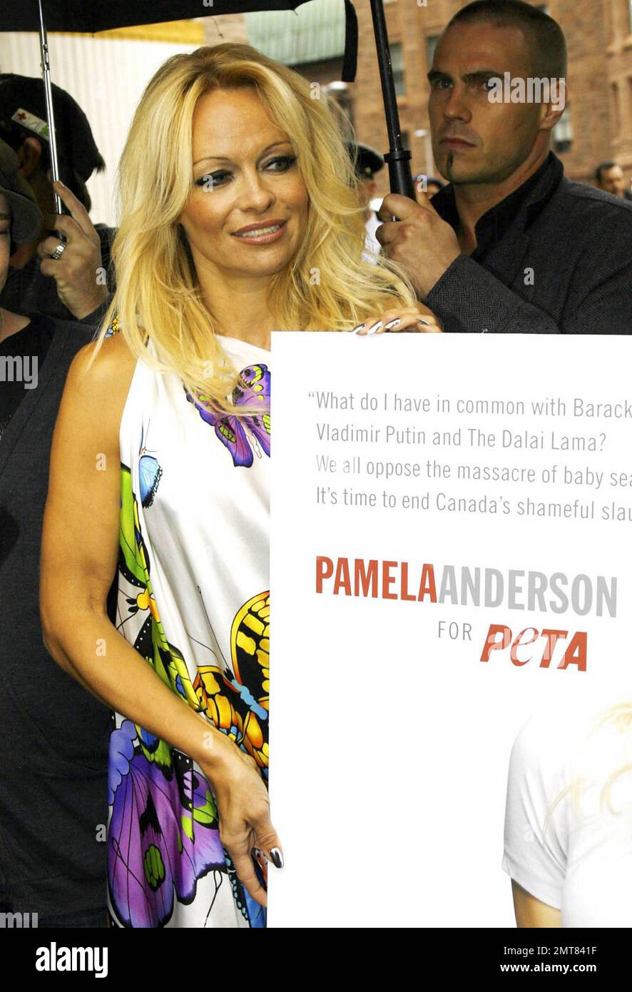 Pamela Anderson wears a colorful spring-like dress on a very dreary day ...