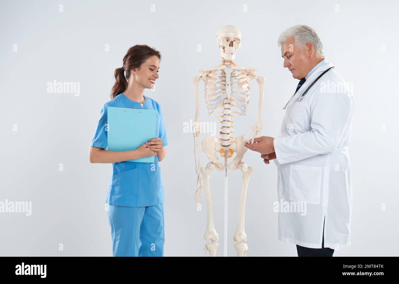 Professional orthopedist with human skeleton model teaching medical ...