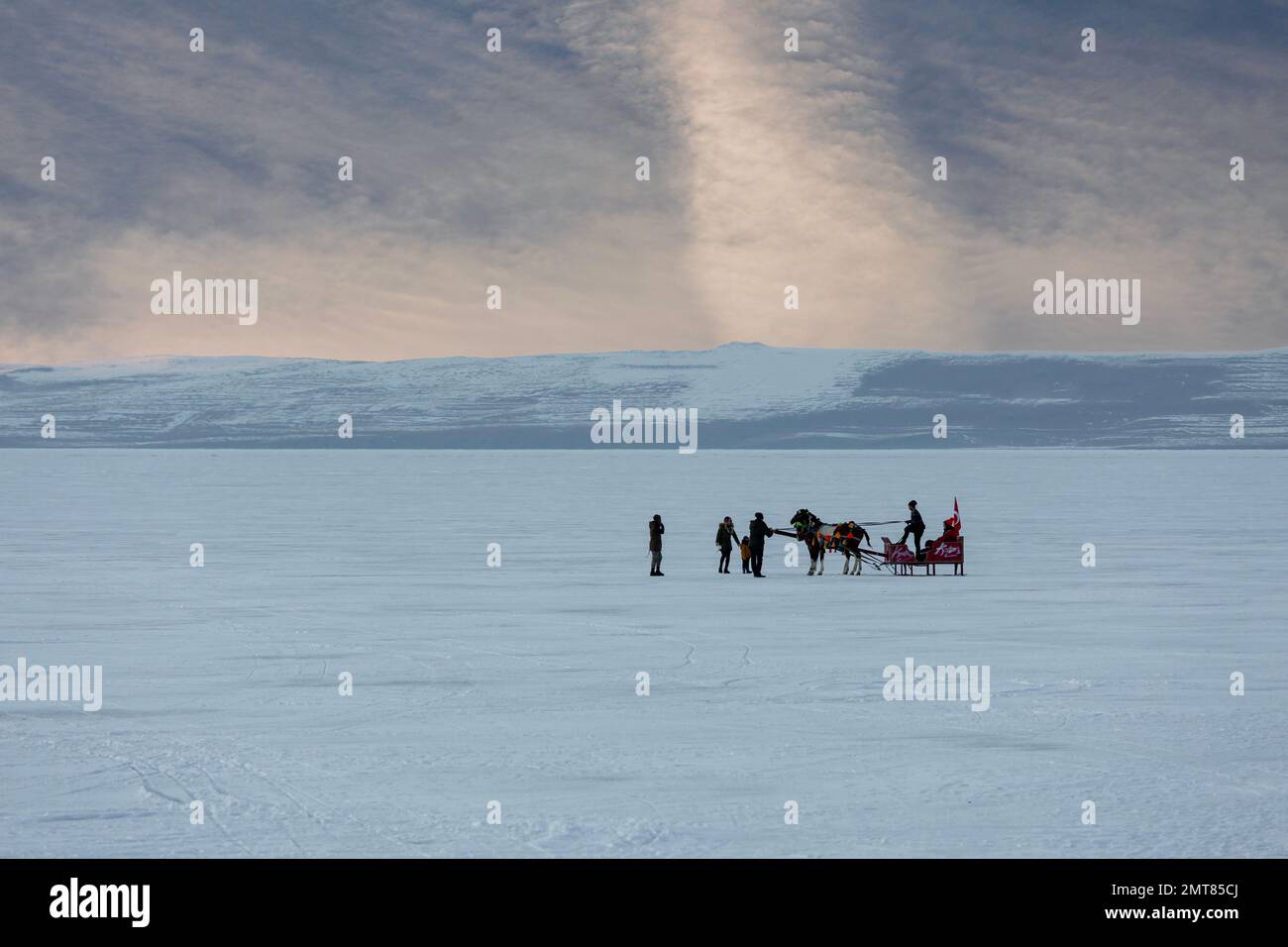 Sleigh pulled by a horse in lake frozen Cildir. Traditional Turkish ...