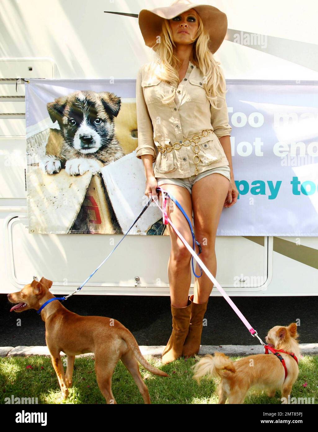 Pamela Anderson poses with the two dogs she has chosen to add to her ...