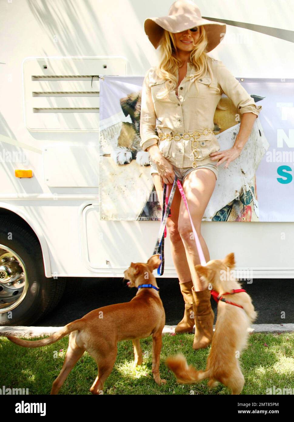 Pamela Anderson poses with the two dogs she has chosen to add to her ...