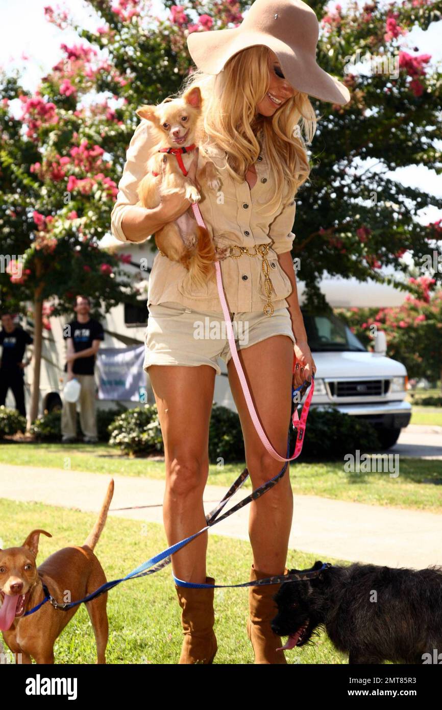 Pamela Anderson helps volunteers walk dogs outside the New Orleans Art ...
