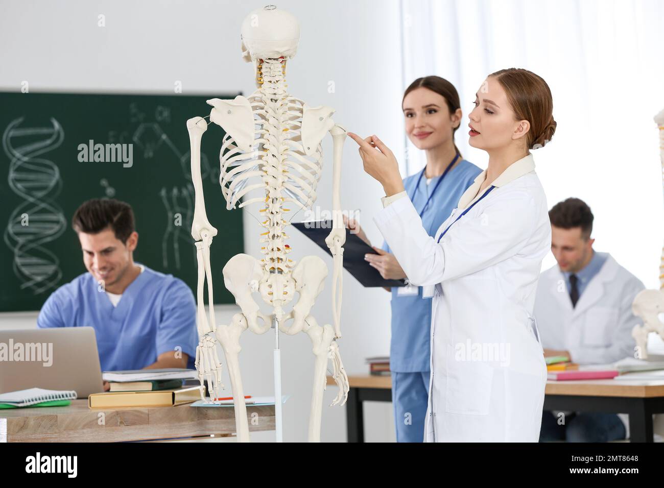 Medical students studying human skeleton anatomy in classroom Stock ...