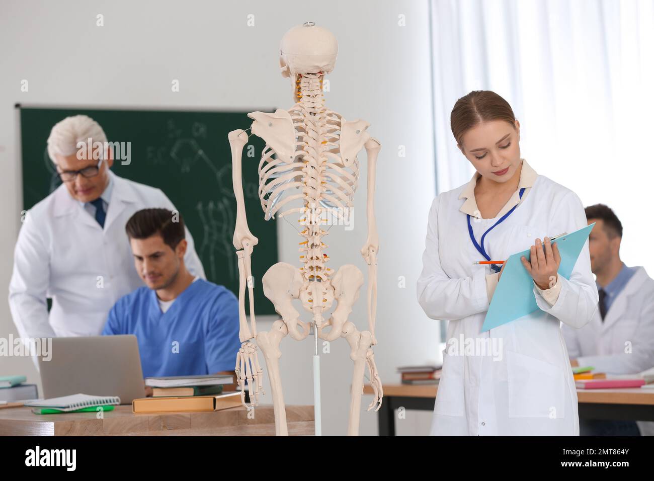 Medical students and professor studying human skeleton anatomy in ...