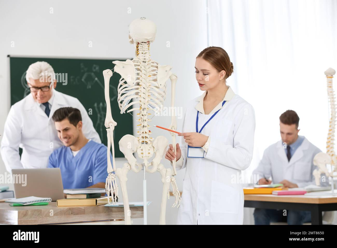 Medical students and professor studying human skeleton anatomy in ...