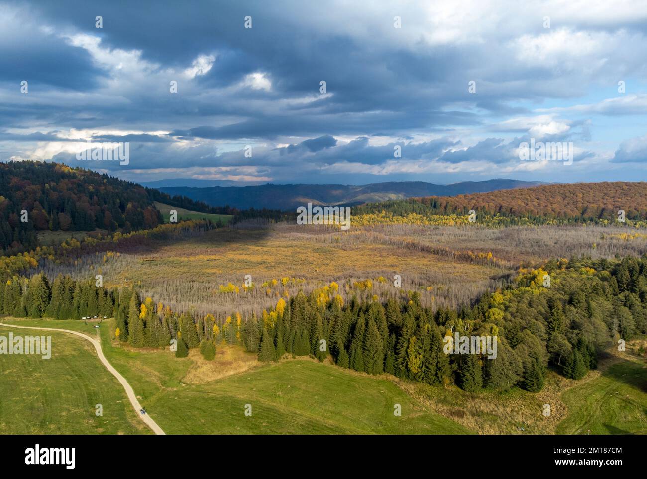 An aerial view of a volcanic botanical reservation with various rare ...