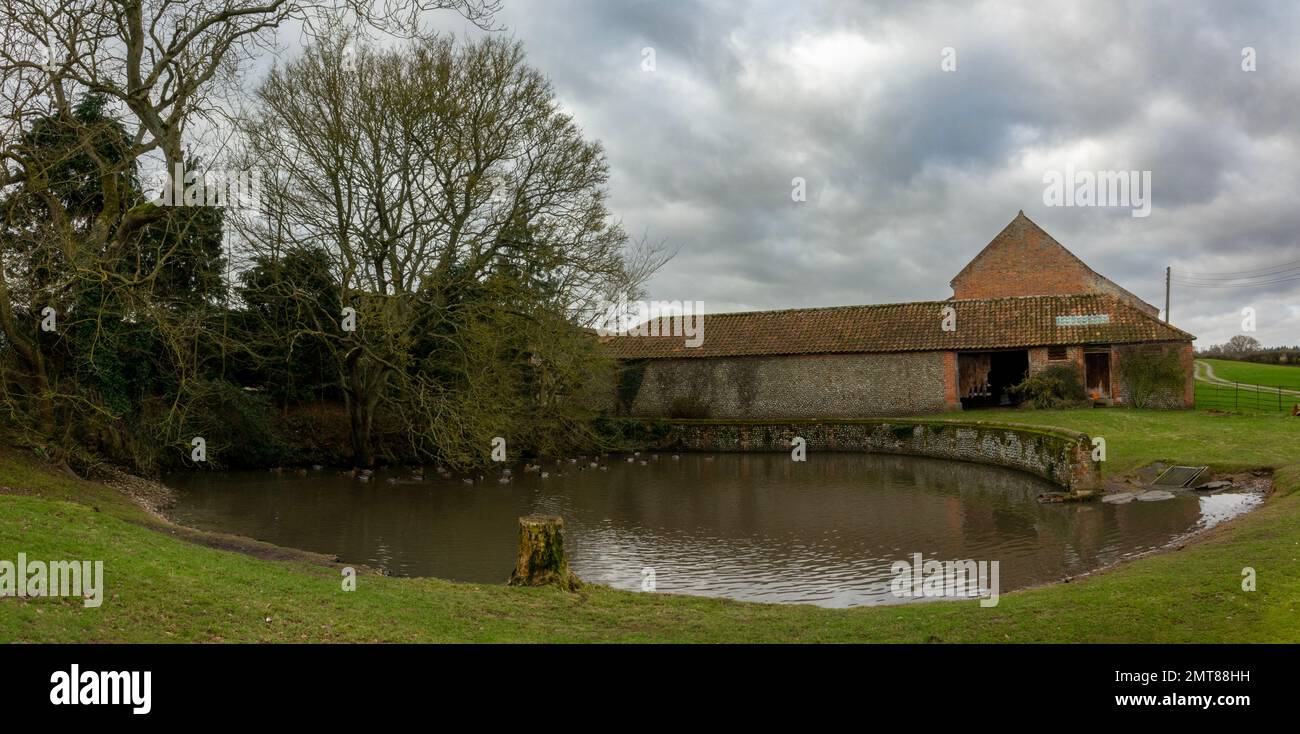 Farm yard pond Stock Photo - Alamy