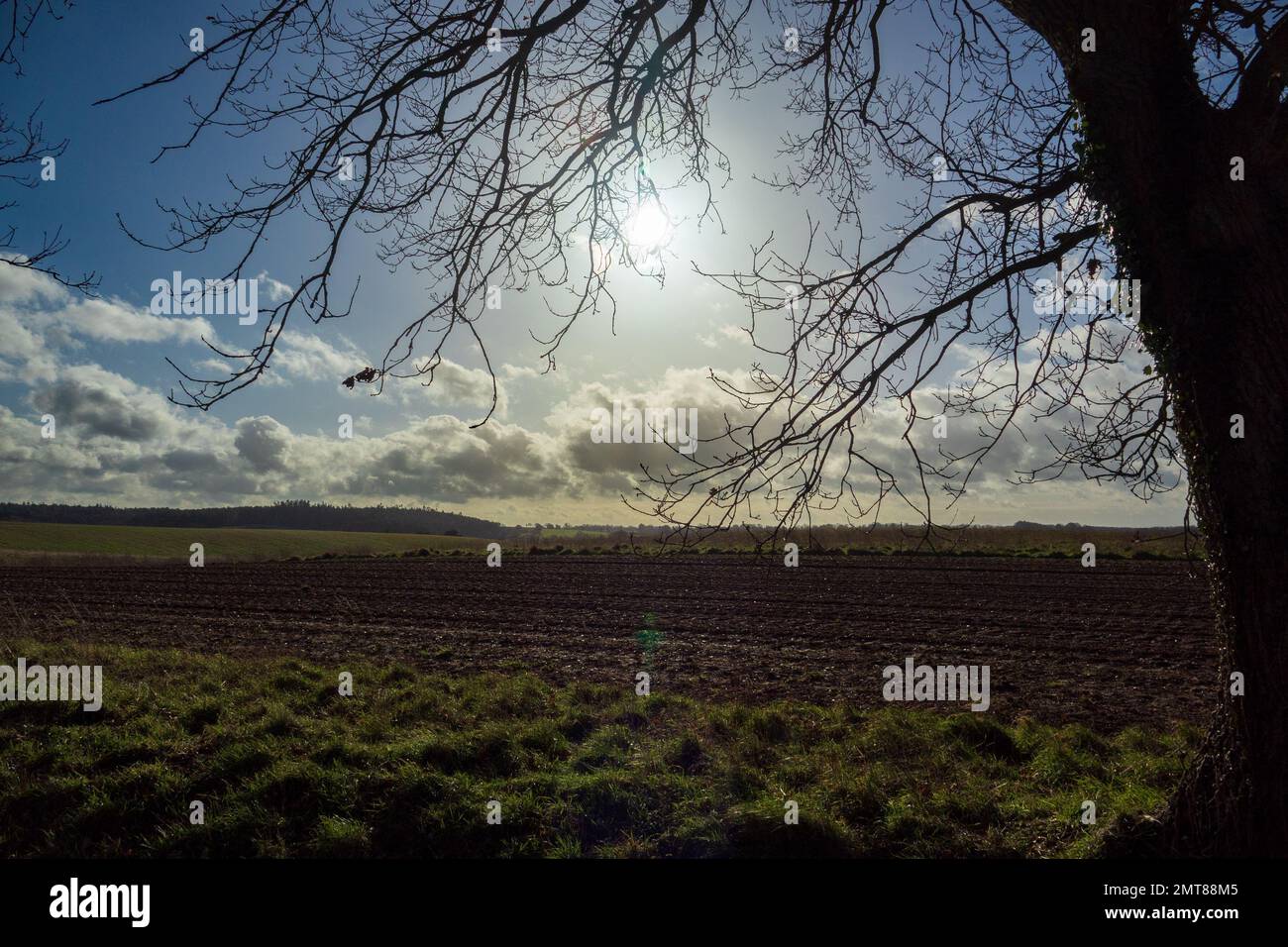 Norfolk coutryside hi-res stock photography and images - Alamy