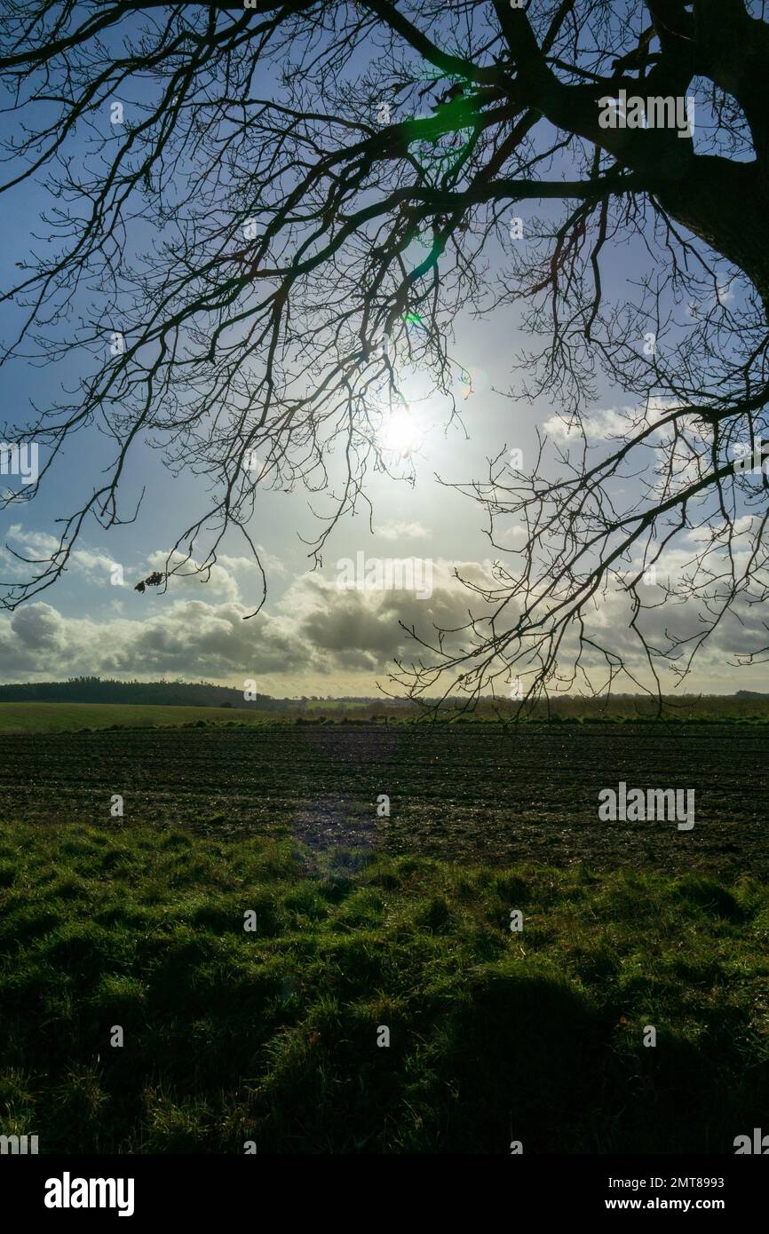 Norfolk coutryside hi-res stock photography and images - Alamy