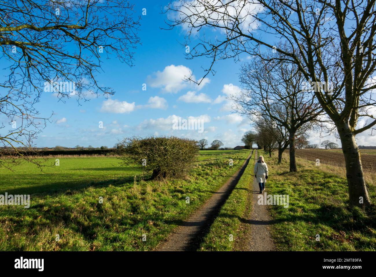 Norfolk fields hi-res stock photography and images - Alamy