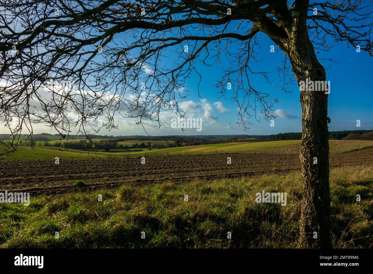 Norfolk fields hi-res stock photography and images - Alamy