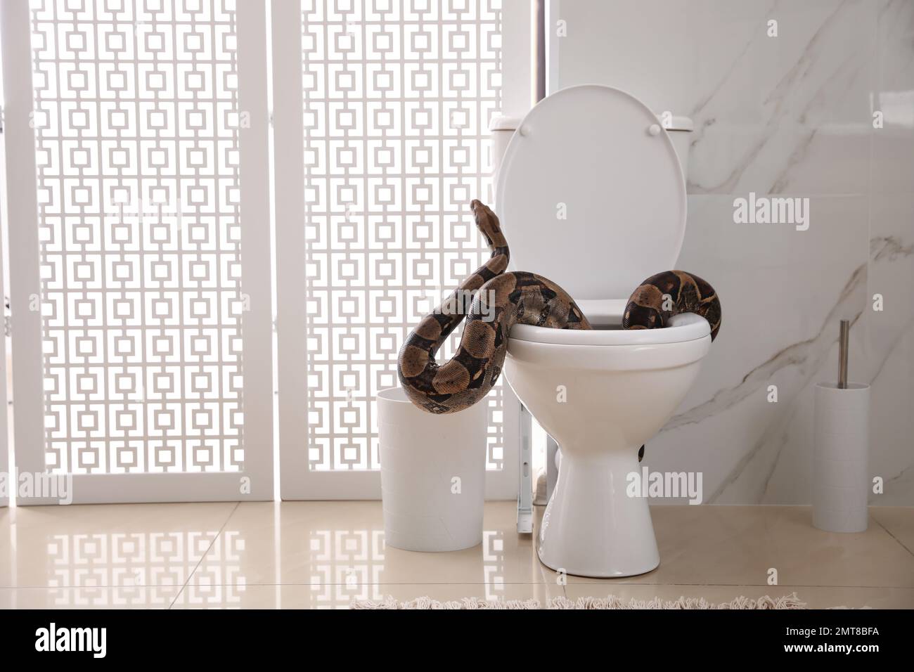 Brown boa constrictor on toilet bowl in bathroom Stock Photo - Alamy