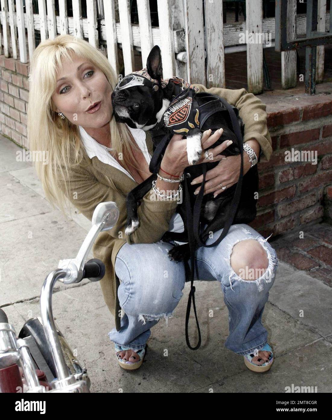 There appears to be another new man in David Hasselhoff's ex-wife's ...